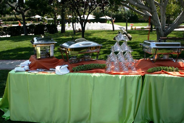 Buffet Stations – Allie's Party Equipment Rentals